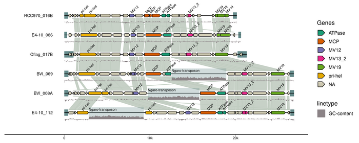 This R package offers novel time series visualisations.
