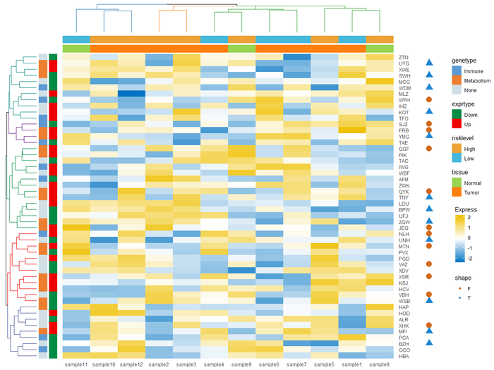 This R package offers novel time series visualisations.